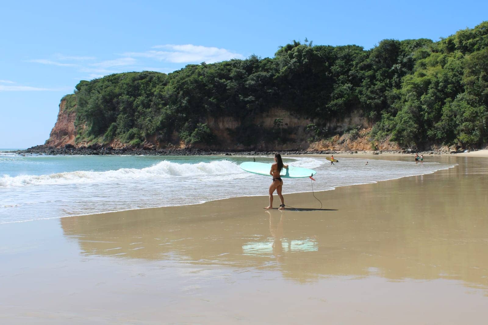 Baía dos Golfinhos em Pipa: Guia Completo e Detalhado